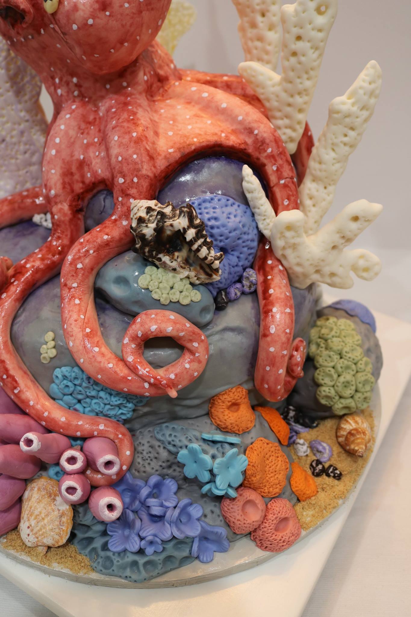 Octopus Cake finished! – Rexburg Cakes