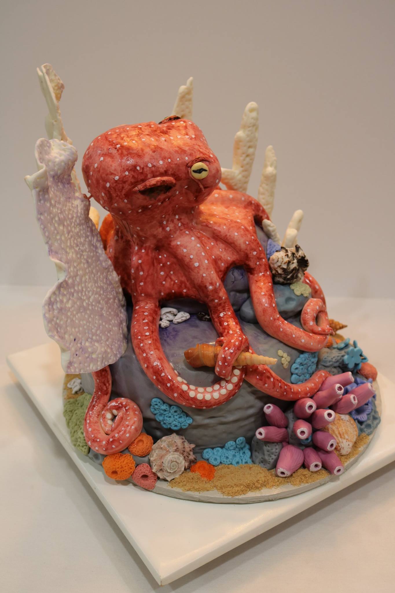 Octopus Cake Finished – Rexburg Cakes