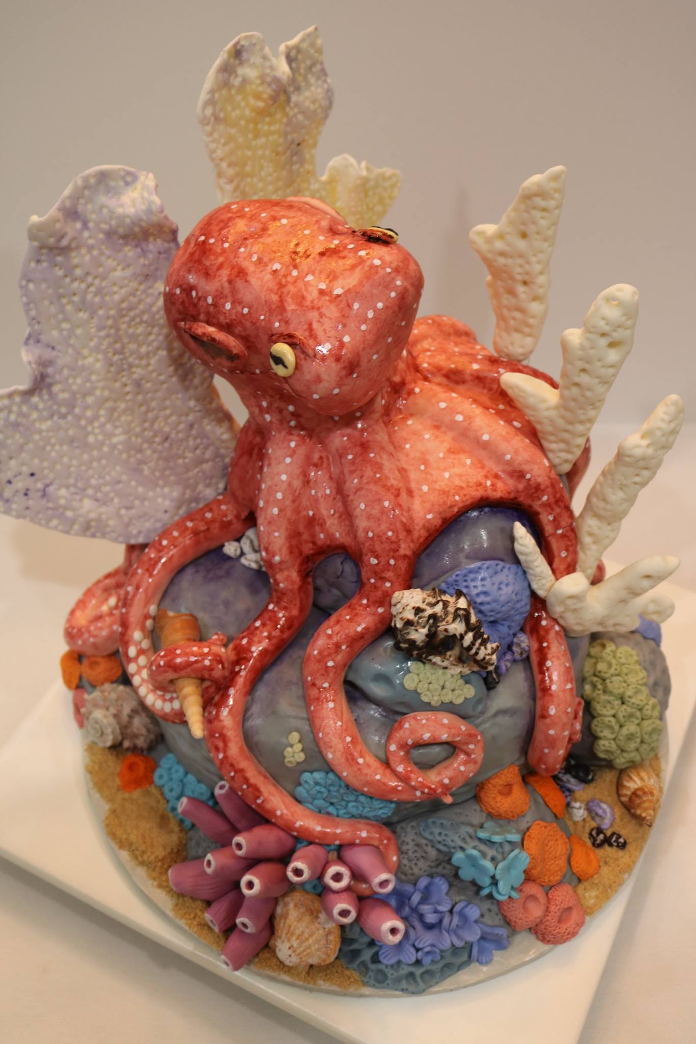 Octopus Cake Beauty Shots – Rexburg Cakes