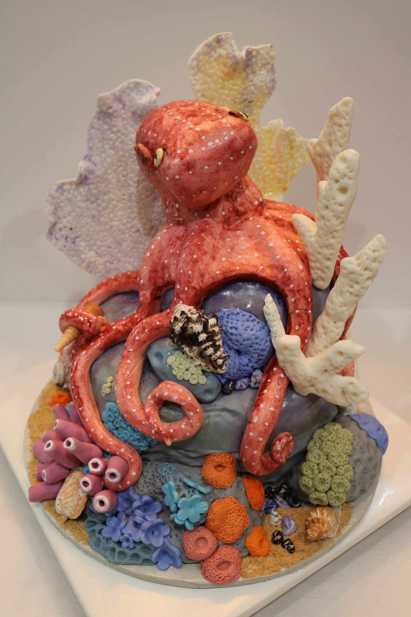 Octopus Cake Beauty Shots – Rexburg Cakes